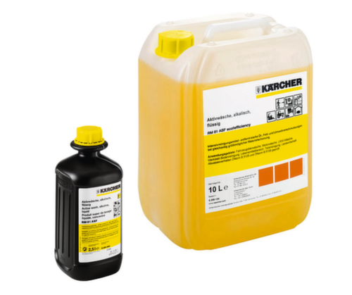 Kärcher Aktivreiniger RM 81 ASF eco!efficiency für Planen/Fahrzeuge ...